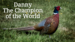 Danny the Champion of the World – Roald Dahl Fans
